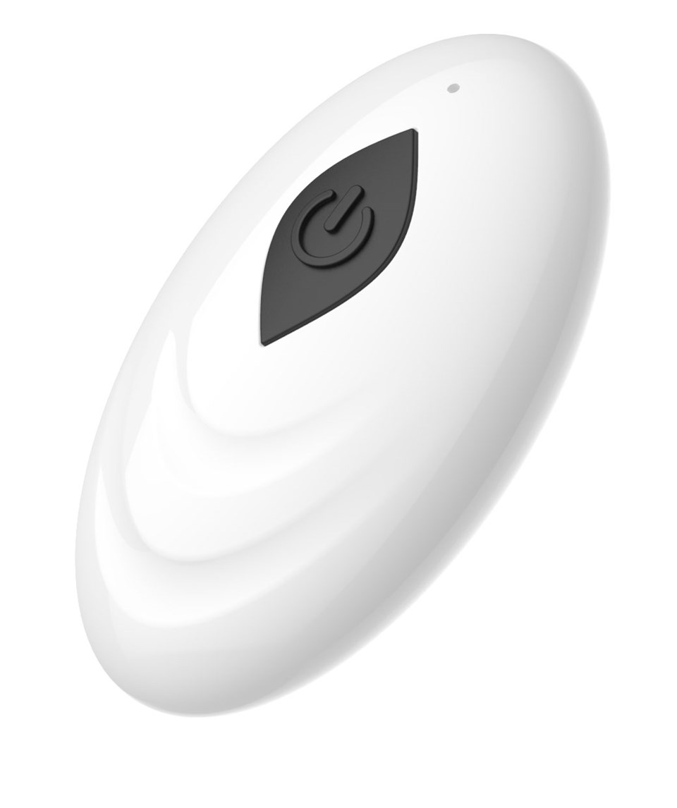 Vibrating Plug with Stone and Remote Controller | Handla diskret